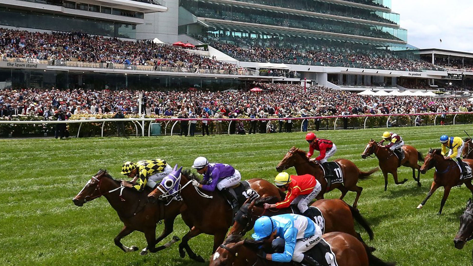 Live Profits with Elite's betting Strategies and horse racing tips