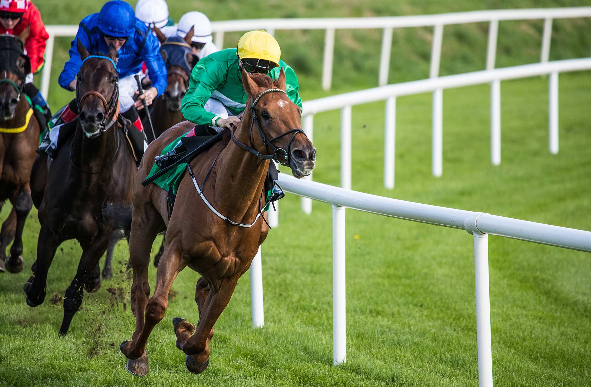 Melbourne Ratings | Winnings Strategies | Elite Racing