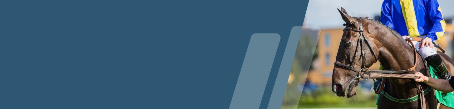 About Professional Horse Racing Tips | About Elite Racing