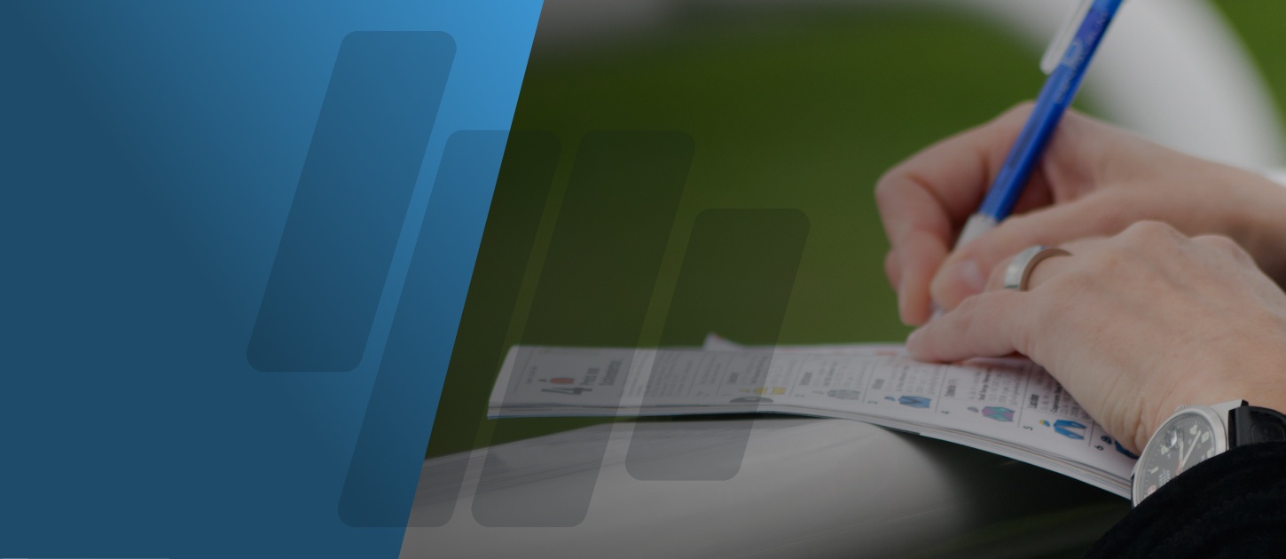 How Horse Racing Systems Work - Elite Racing