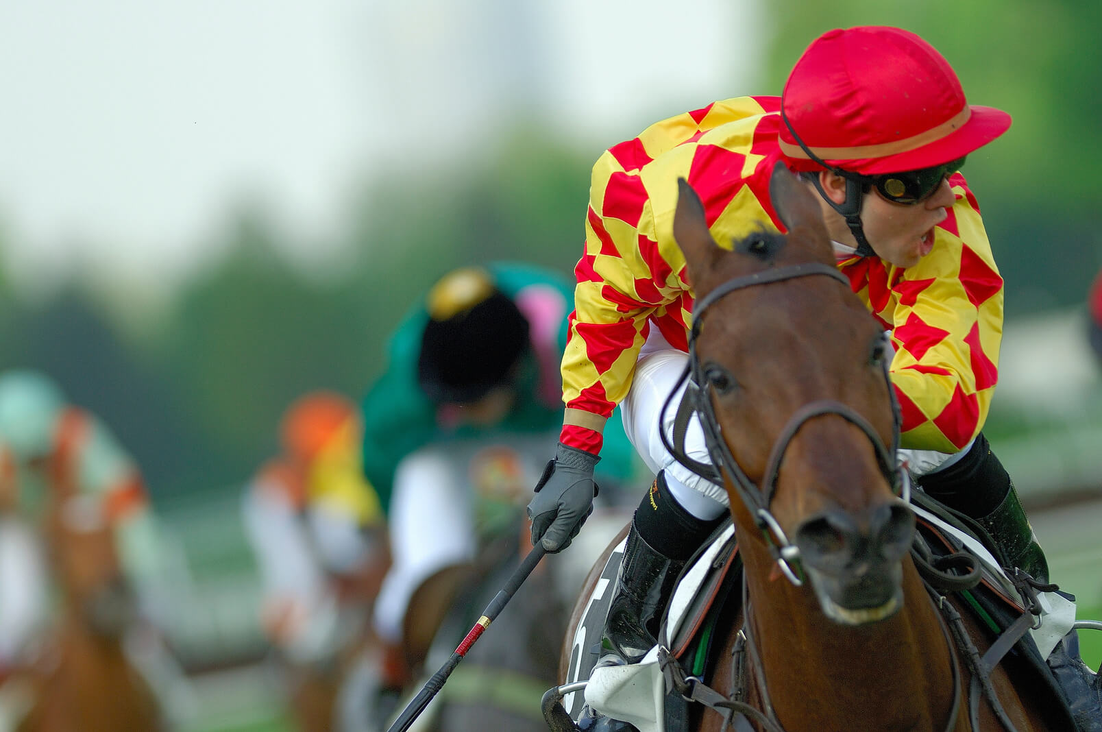 How To Become A Professional Punter - Elite Racing